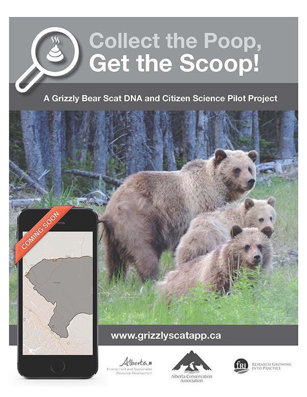 Collect the poop, get the scoop! Grizzly Bear Scat App info sheet - fRI ...