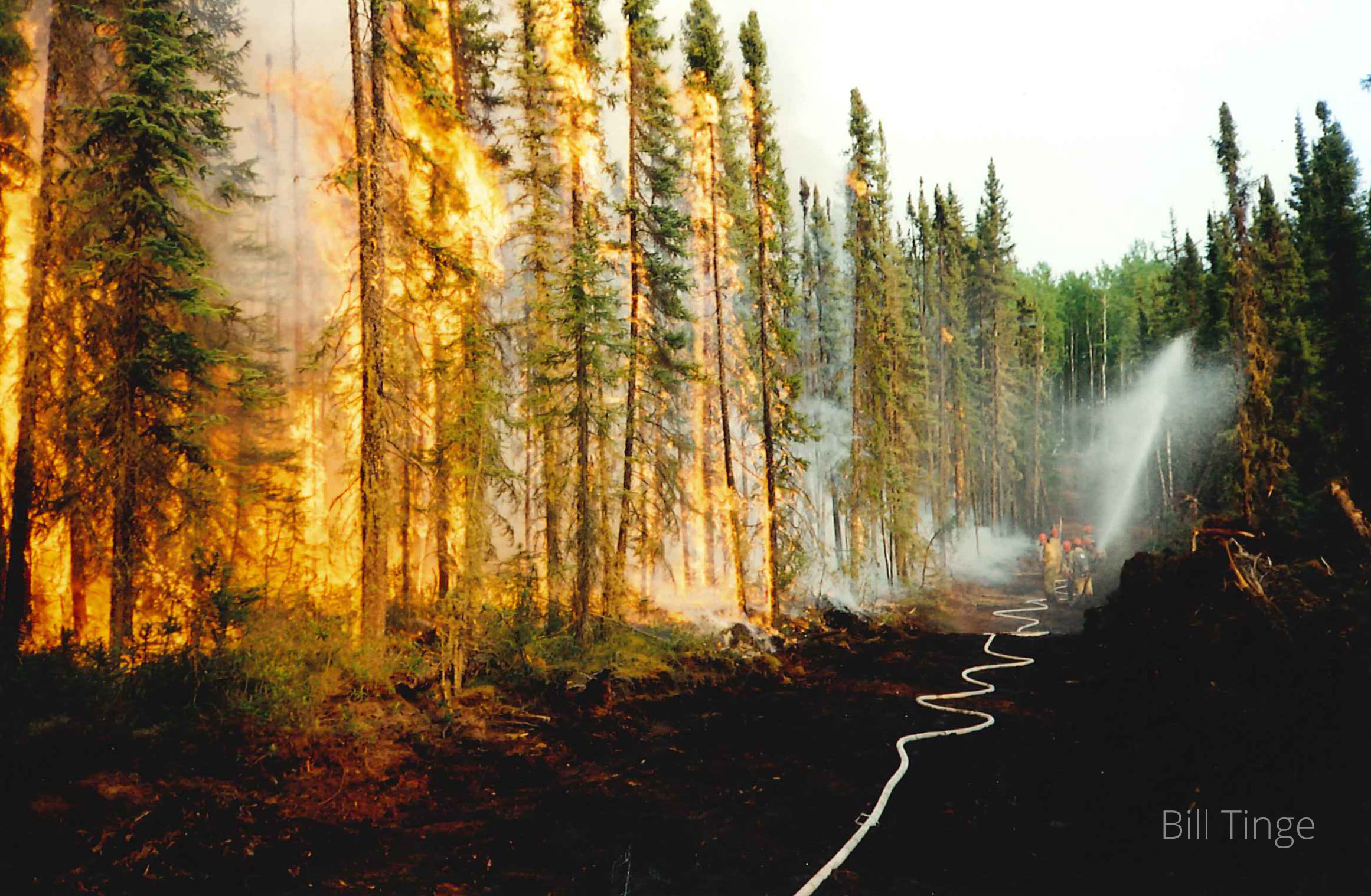 FireSmart - fRI Research