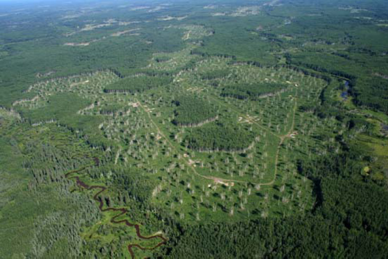 Understanding Historical Landscape Patterns on the Sundre Forest ...