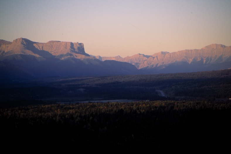 Foothills Model Forest part of groundbreaking grizzly bear study - fRI ...