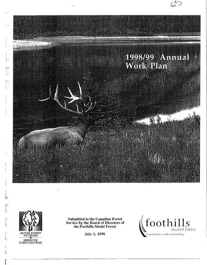Foothills Model Forest 1998/99 Annual Work Plan - fRI Research