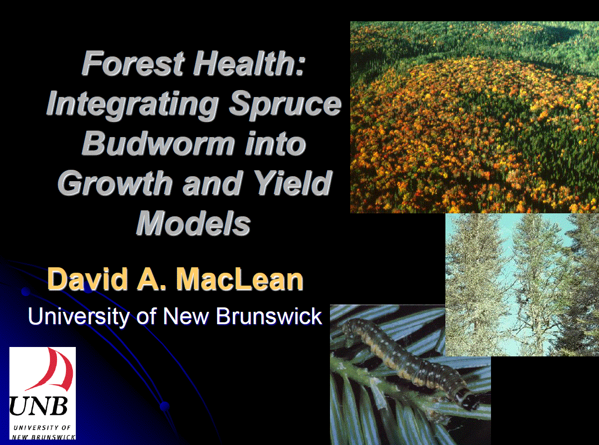 Forest health: integrating spruce budworm into growth and yield models ...