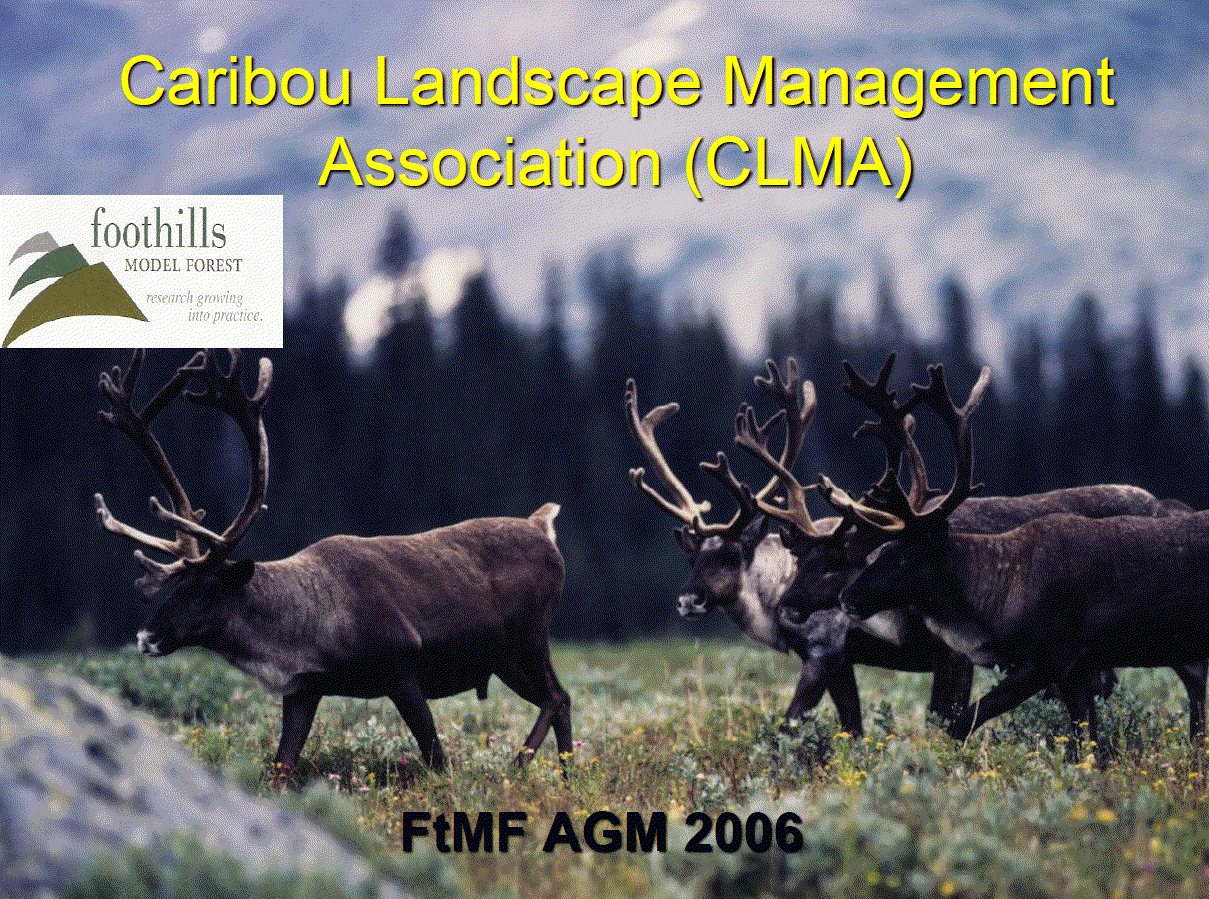 Caribou Landscape Management Association presentation - Foothills Model ...