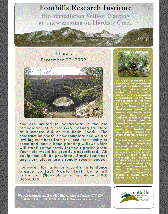 Foothills Research Institute: Bio-remediation willow planting at a new ...