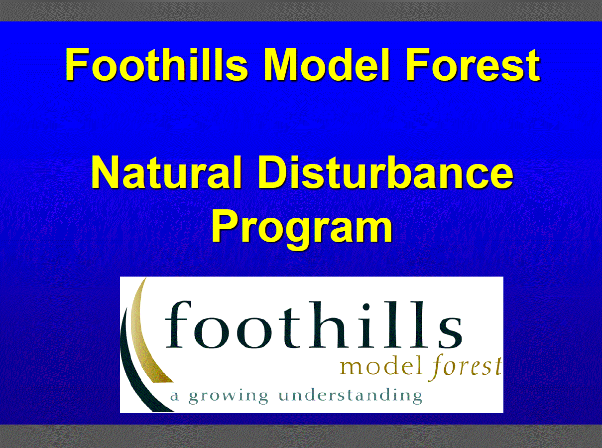 Foothills Model Forest Natural Disturbance Program - fRI Research