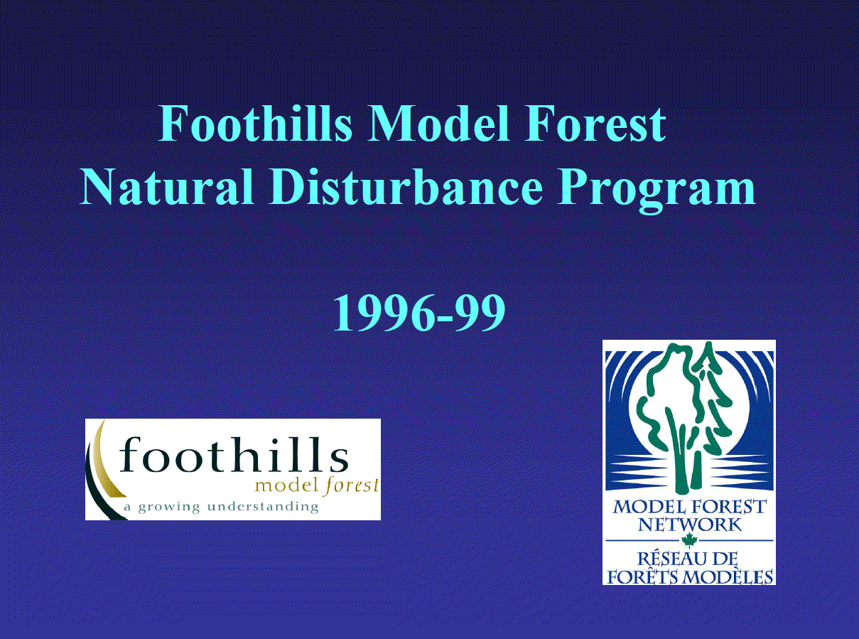 Foothills Model Forest Natural Disturbance Program 1996-99 - fRI Research