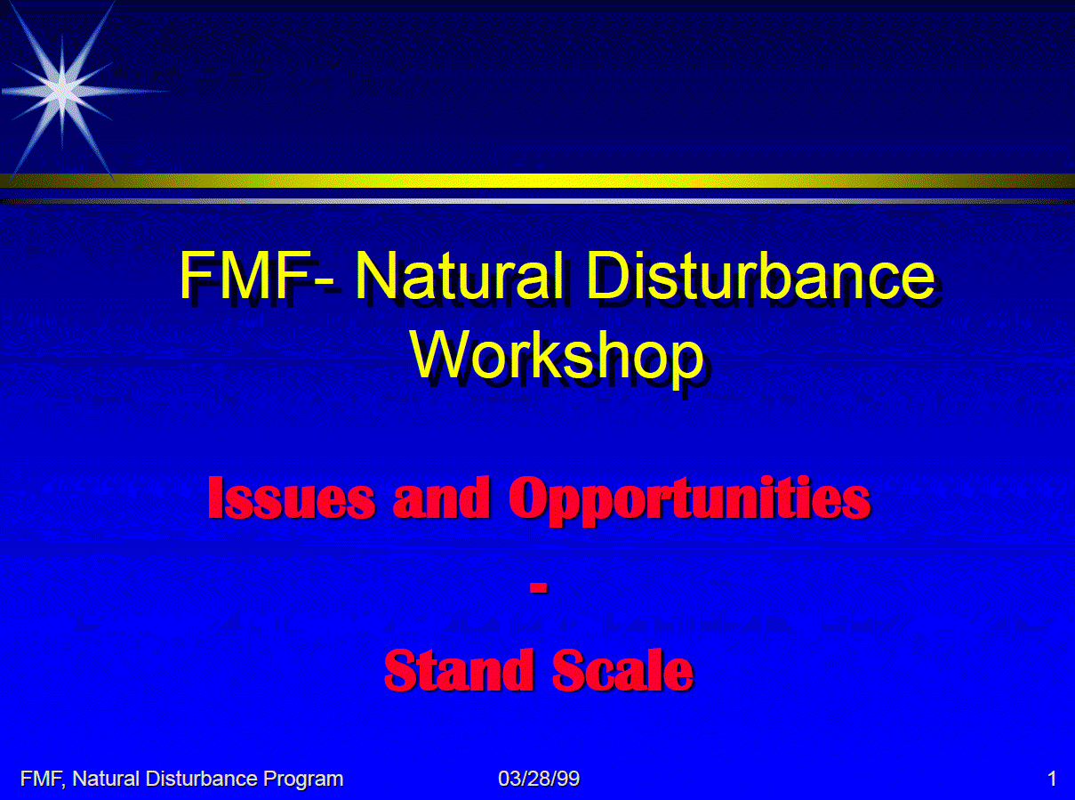 FMF - Natural Disturbance Workshop: Issues and opportunities - stand ...