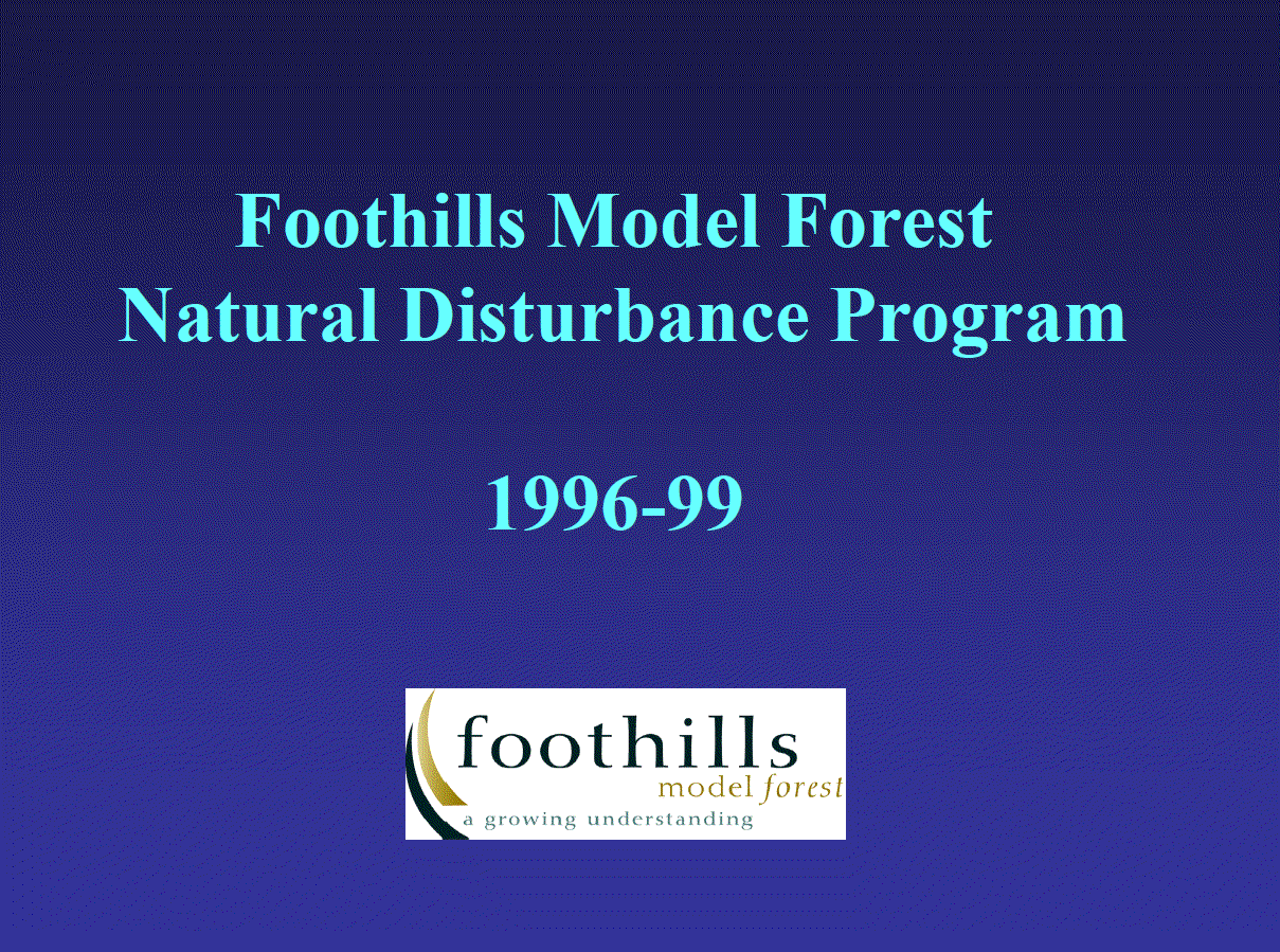 Foothills Model Forest Natural Disturbance Program 1996-99 - fRI Research