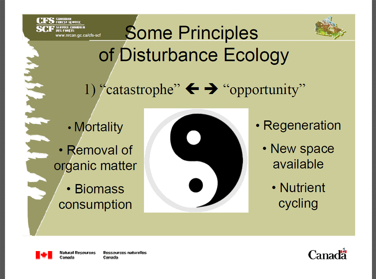 Some principles of disturbance ecology - fRI Research