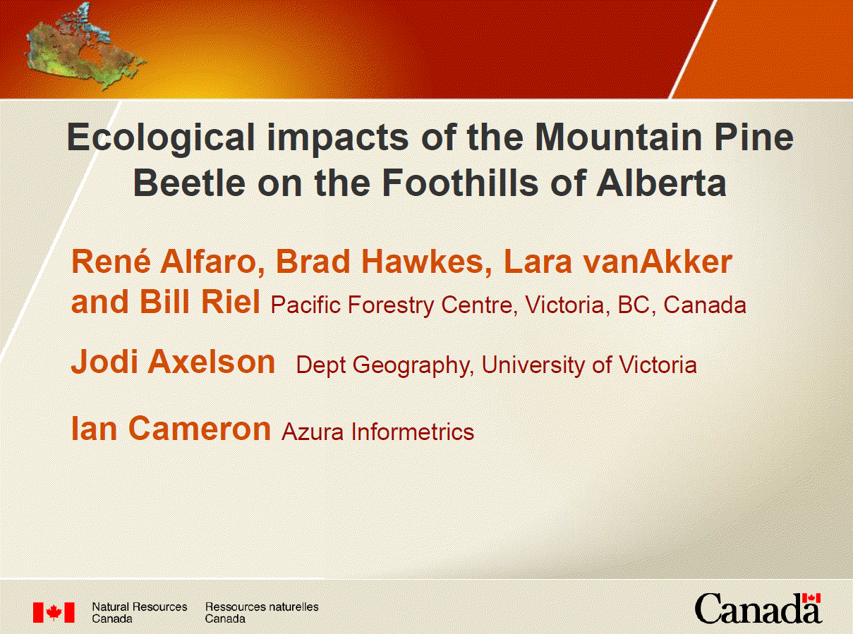 Ecological impacts of the mountain pine beetle on the foothills of ...