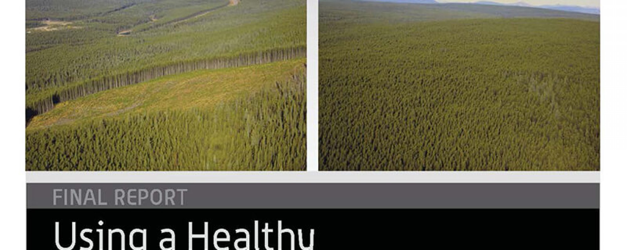 Healthy Landscapes Program | fRI Research