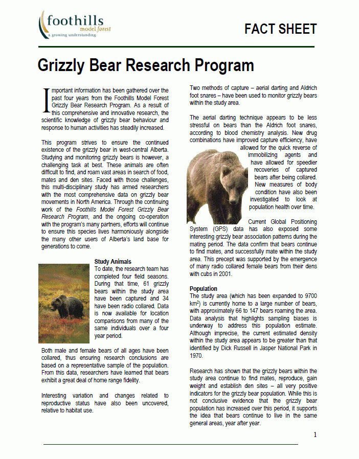 Grizzly Bear Facts Worksheet Free Printable Pdf For Kids – Artofit