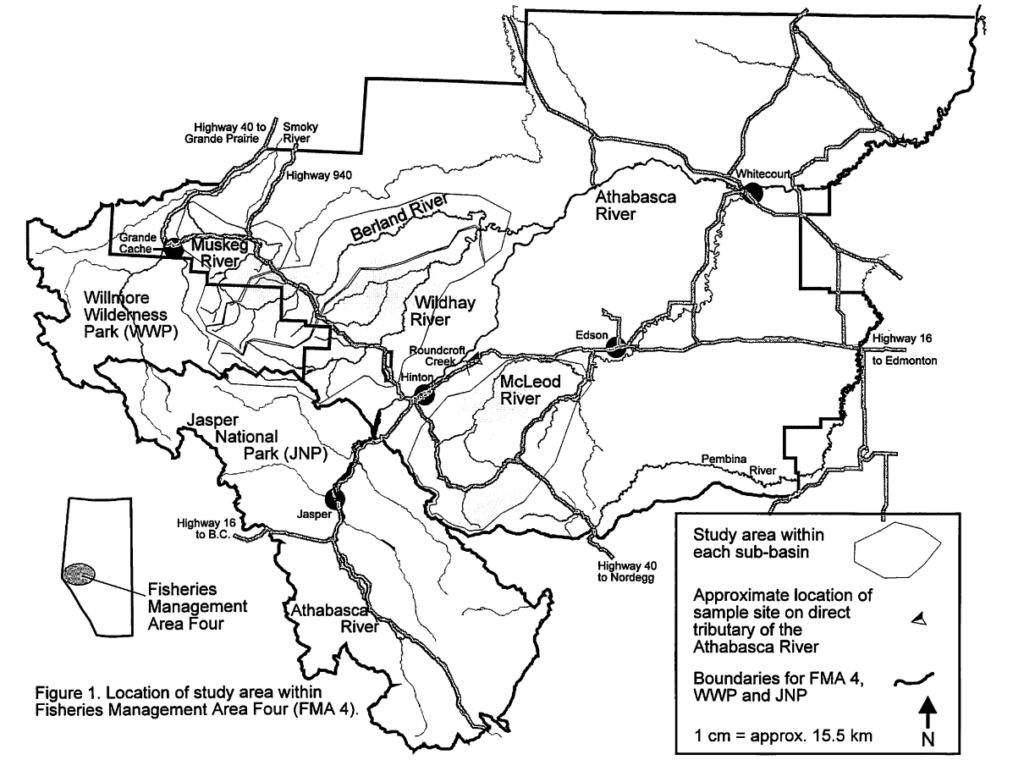 Identification of bull trout populations in the McLeod, Wildhay ...