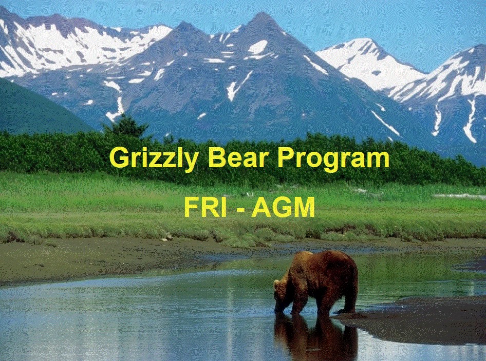 Grizzly Bear Program - Foothills Model Forest Annual General Meeting ...