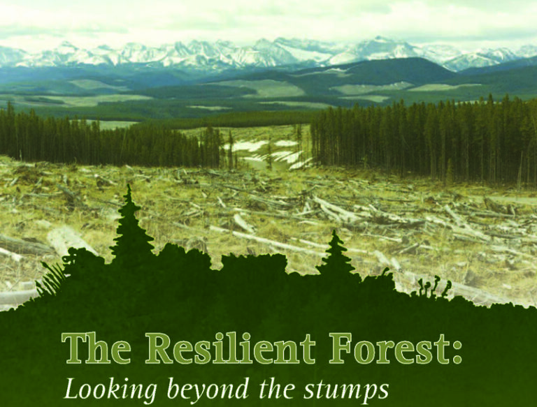 The resilient forest: looking beyond the stumps: a 35-year examination ...