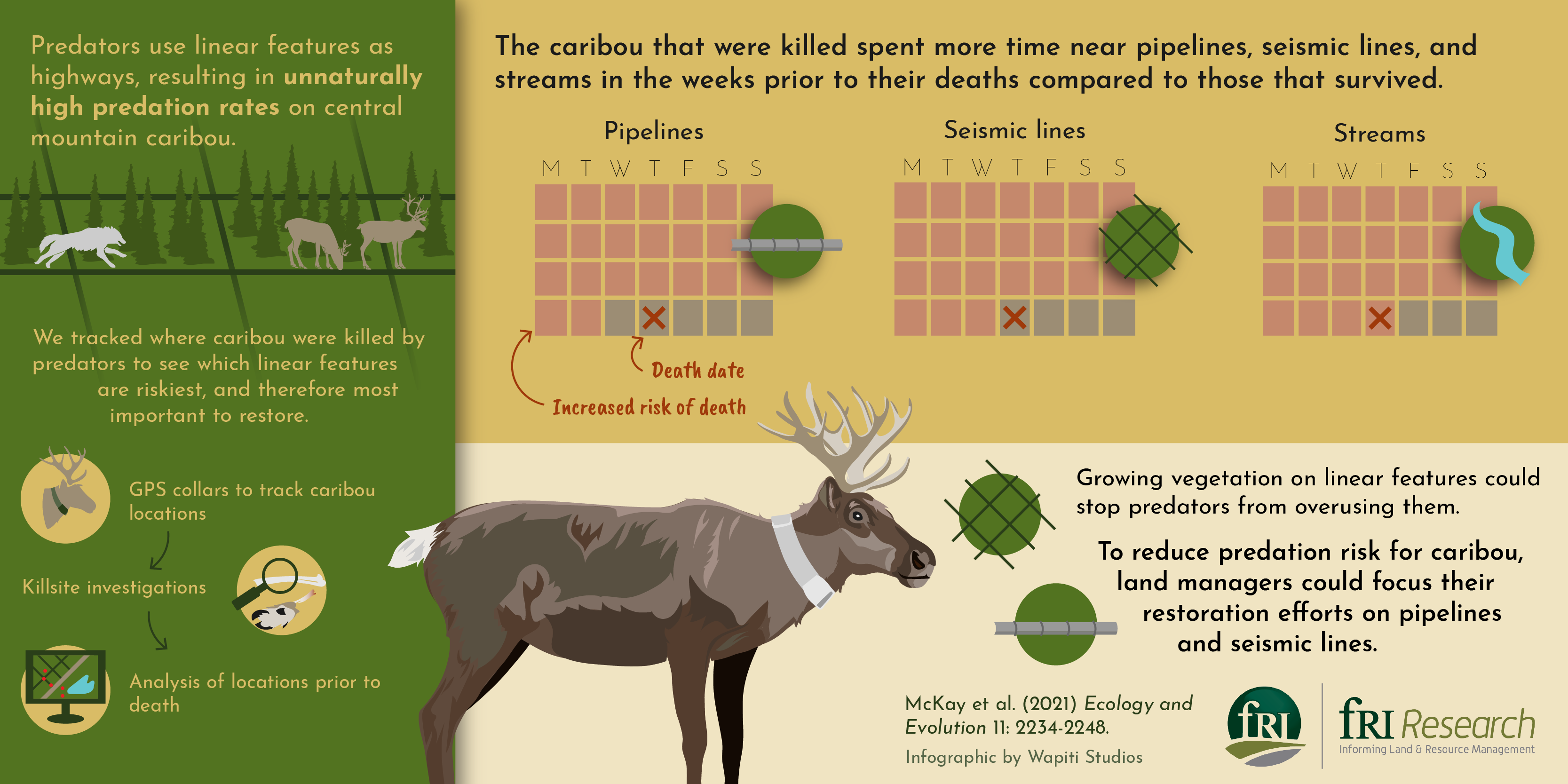 Landscape Features Associated with Caribou Predation - fRI Research