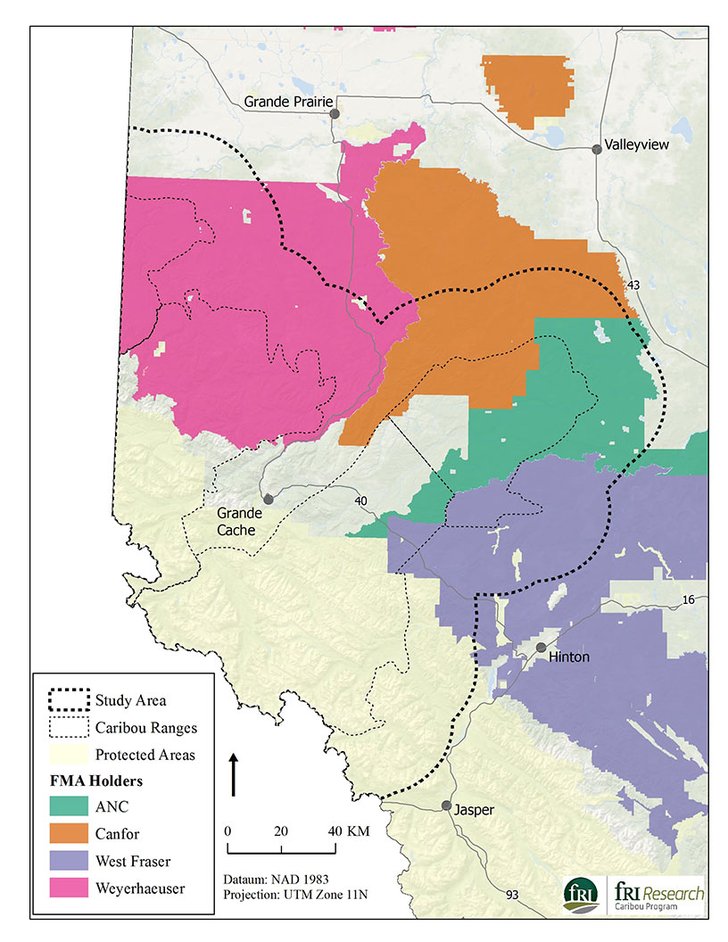 Caribou Conservation through Better Cutblock Design - fRI Research