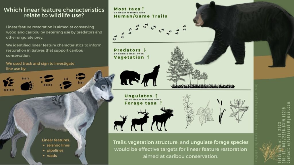 Which Linear Feature Characteristics Relate to Wildlife Use? - fRI Research