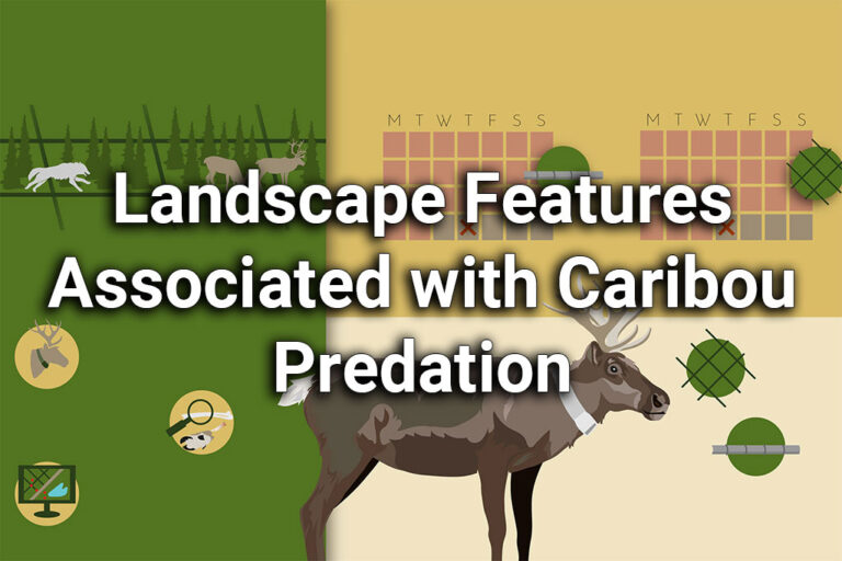 Caribou Program - fRI Research