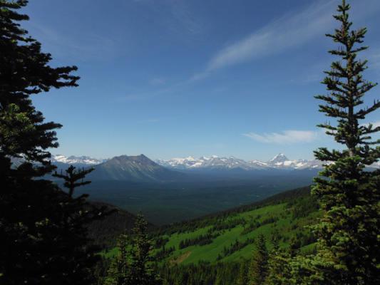 Predictive Spatial Modeling of Landscape Change in the Foothills Model ...