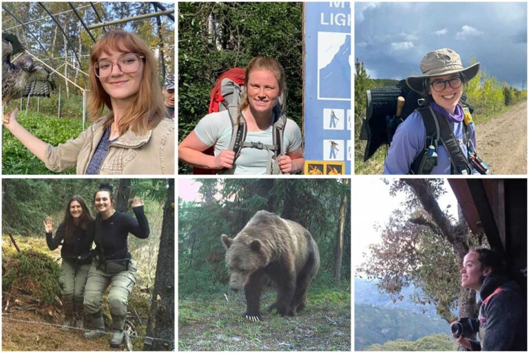 Meet the 2024 Grizzly Bear Crew! - fRI Research