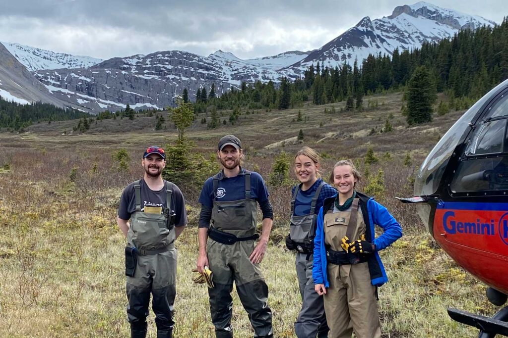 Recording Water Temperatures in the Willmore Wilderness Park and the ...